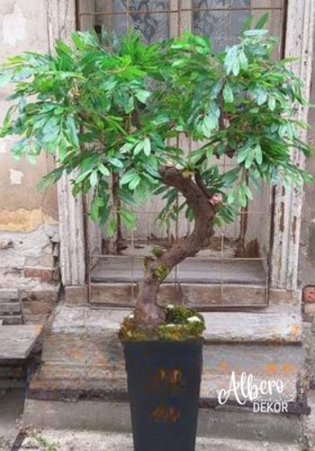 Veštački Bonsai - Vestacko drvece Albero Dekor