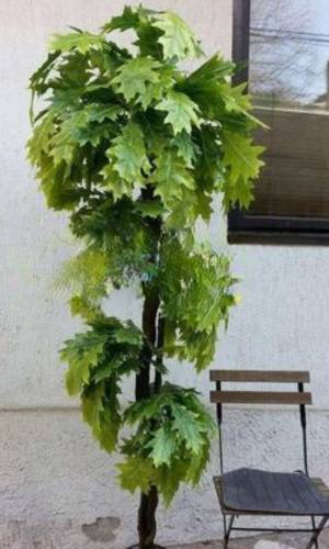 Vestacka Stabla - Vestacko drvece Albero Dekor