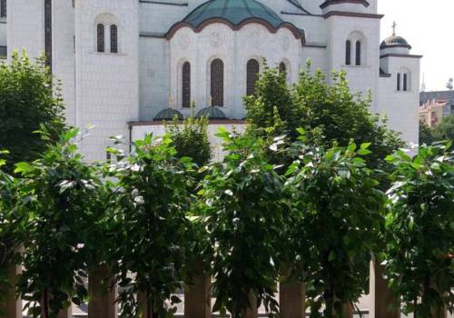 Galerija - Vestacko drvece Albero Dekor