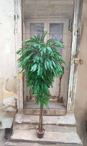 Vestacka Stabla - Vestacko drvece Albero Dekor