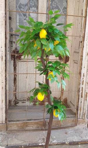 Vestacka Stabla - Vestacko drvece Albero Dekor