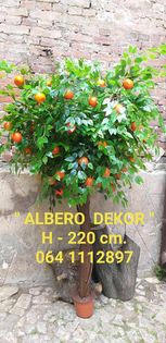 Vestacka Stabla - Vestacko drvece Albero Dekor
