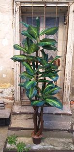 Vestacka Stabla - Vestacko drvece Albero Dekor