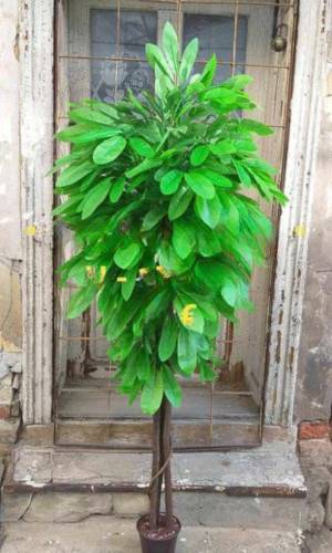 Vestacka Stabla - Vestacko drvece Albero Dekor