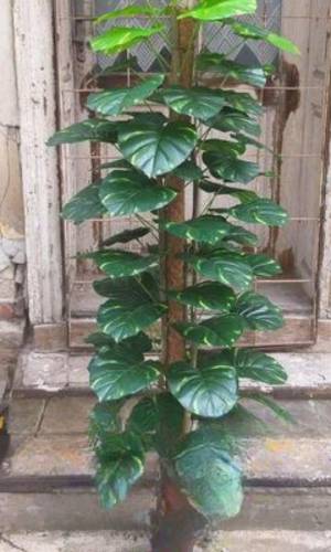 Vestacka Stabla - Vestacko drvece Albero Dekor