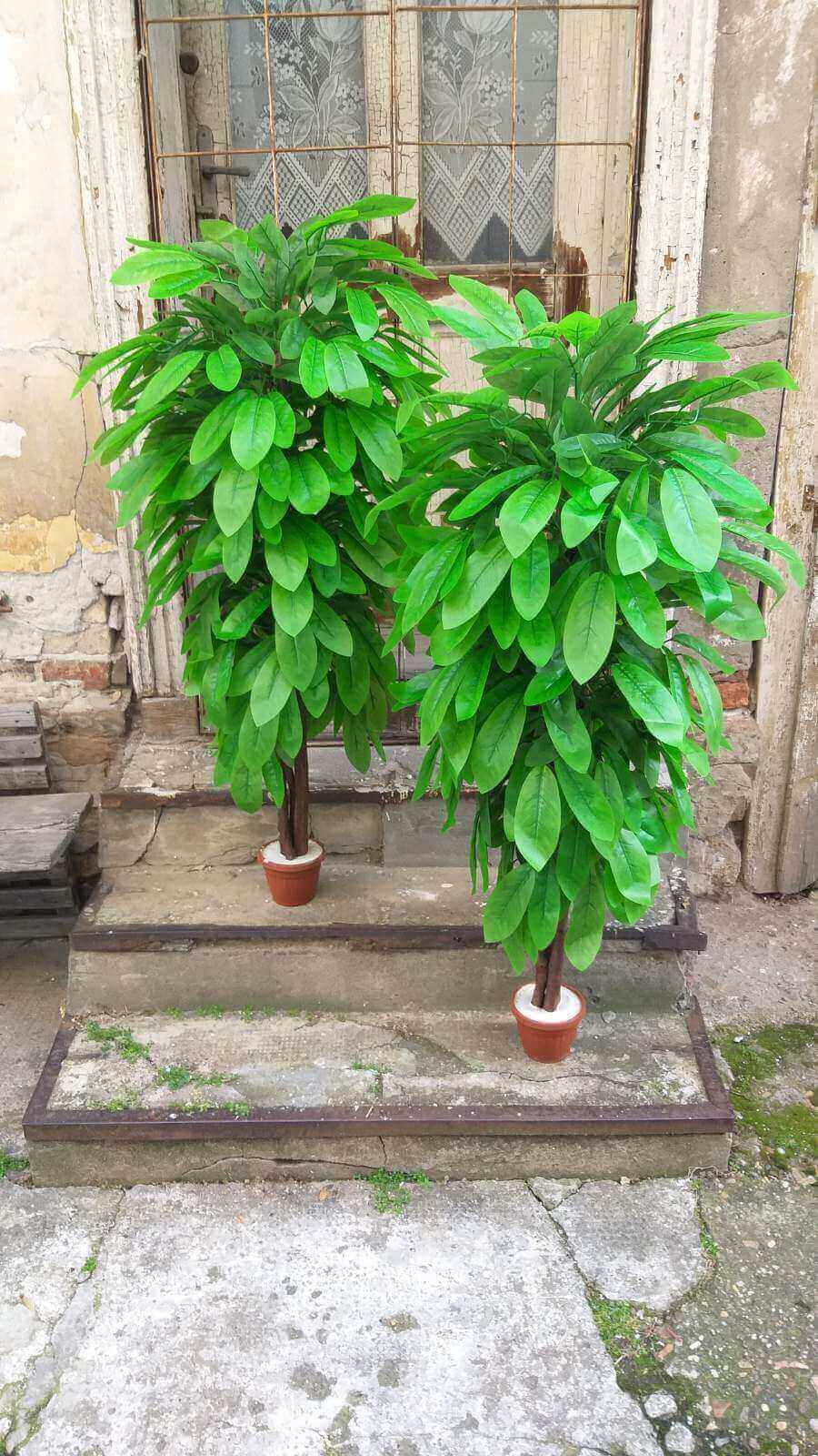 Vestacka Stabla - Vestacko drvece Albero Dekor