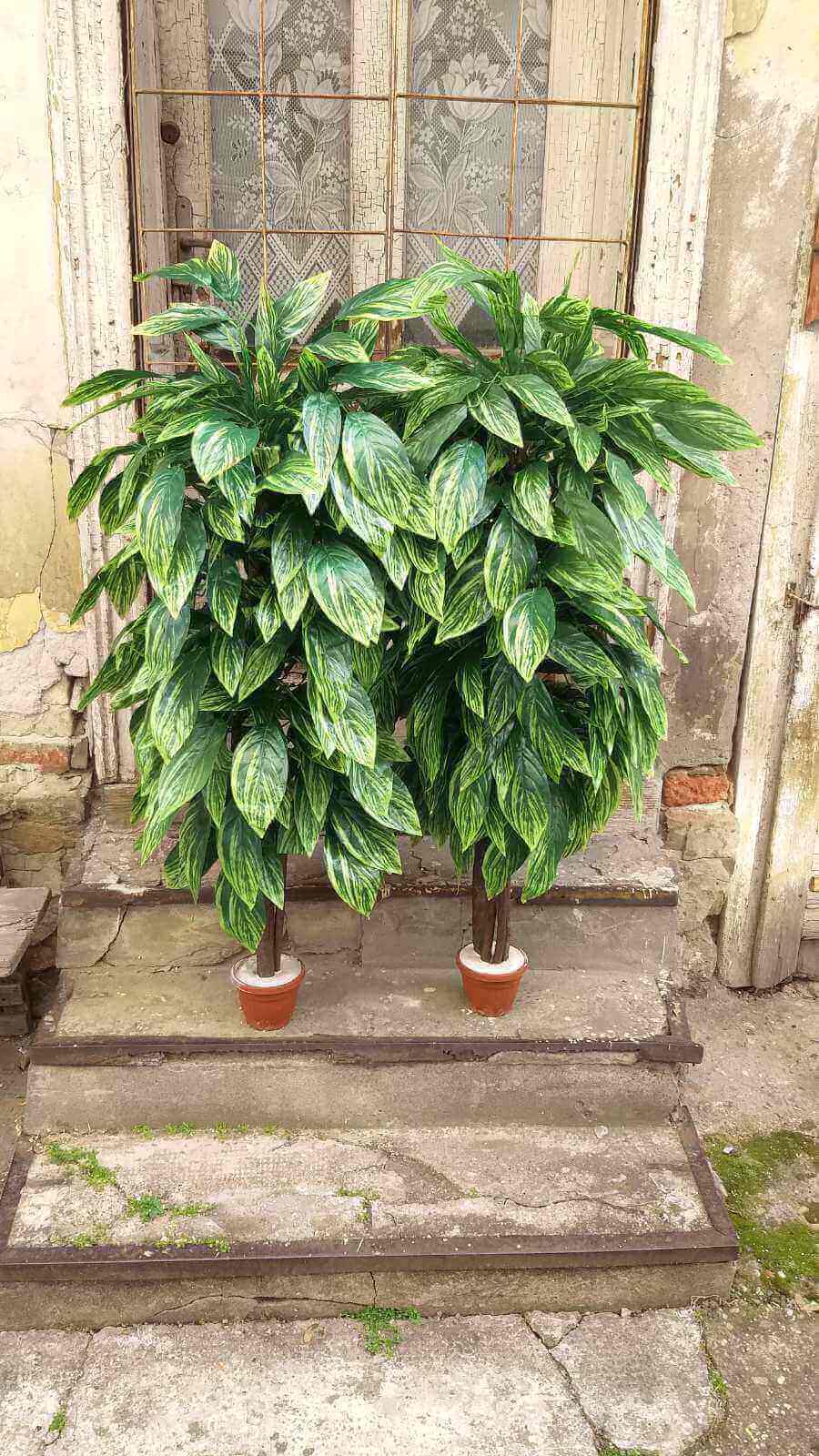 Vestacka Stabla - Vestacko drvece Albero Dekor