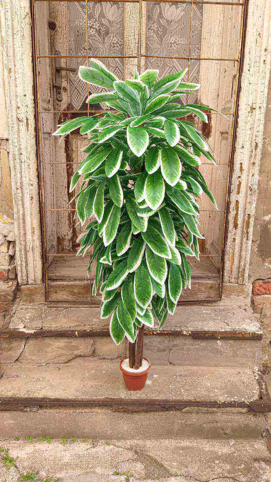 Vestacka Stabla - Vestacko drvece Albero Dekor