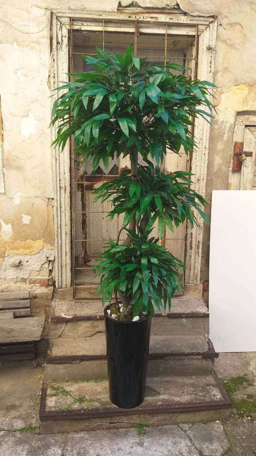 Vestacka Stabla - Vestacko drvece Albero Dekor