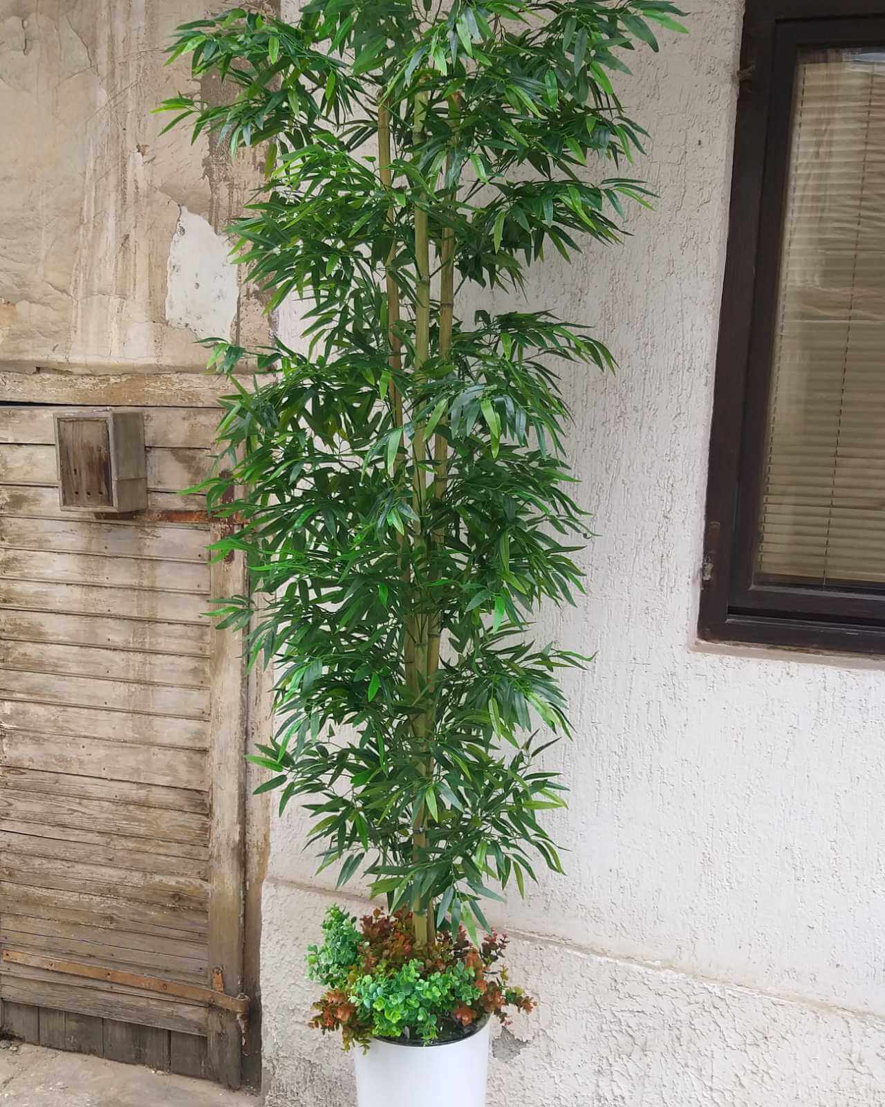 Veštački Bambusi i dracene - Vestacko drvece Albero Dekor