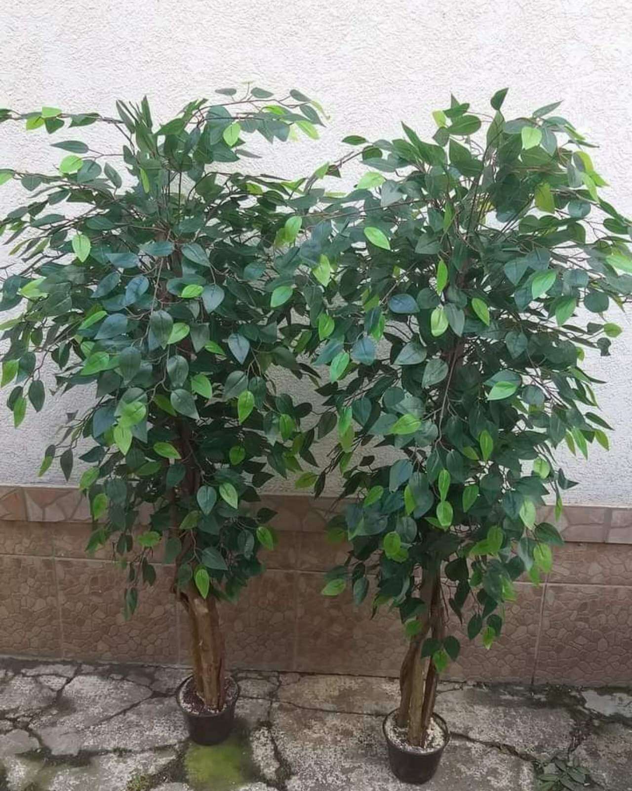 Vestacka Stabla - Vestacko drvece Albero Dekor